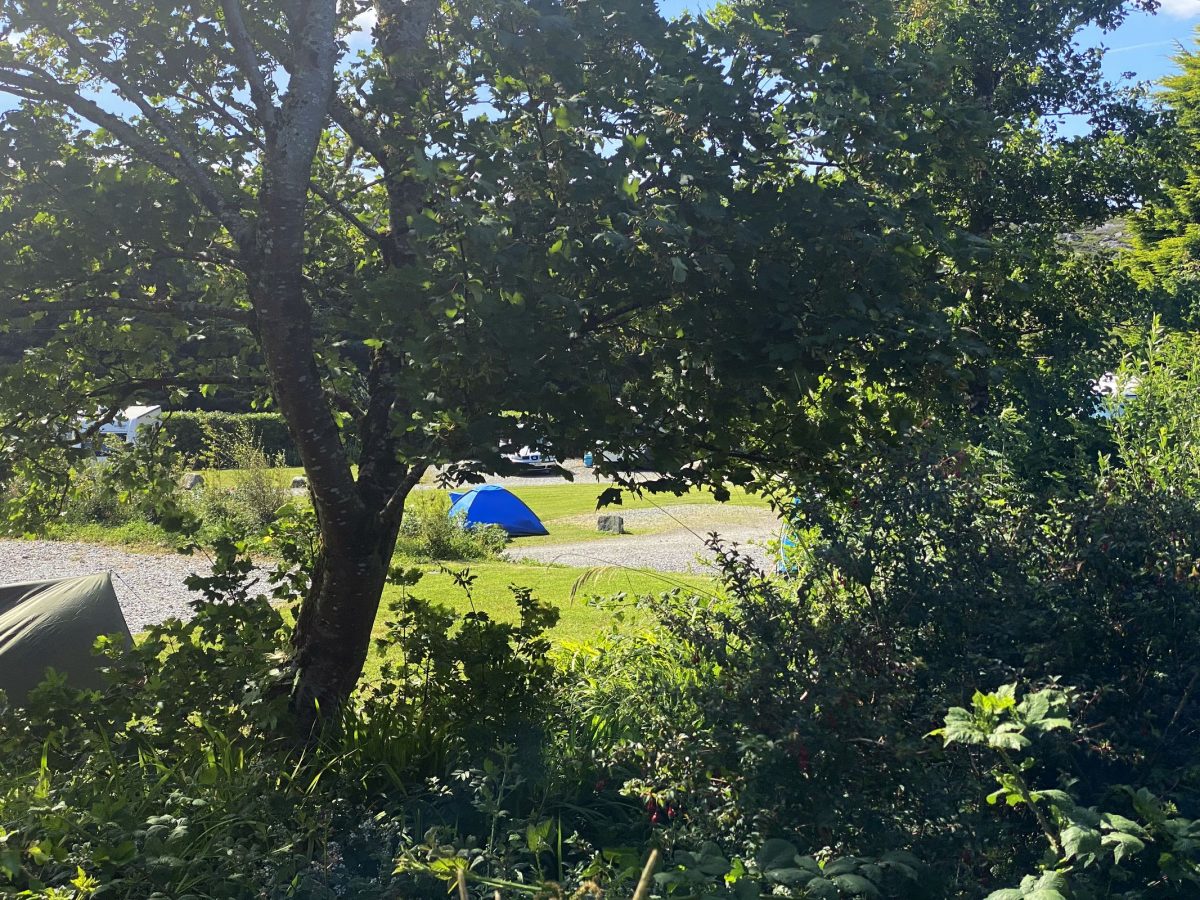 Gallery - Clifden Camping